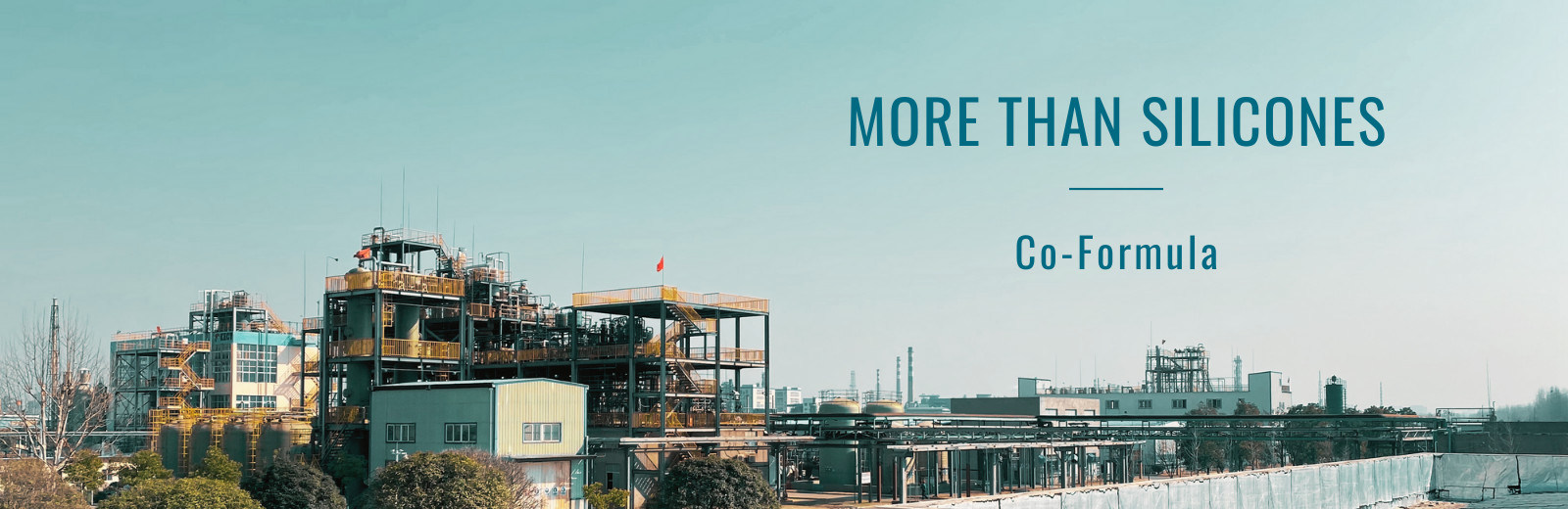 Kualitas Silikon Organik & Polimer Silikon pabrik dari Cina